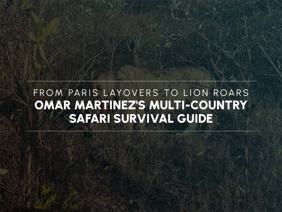 From Paris Layovers to Lion Roars: Omar Martinez's Multi-Country Safari Survival Guide | Lewis ...